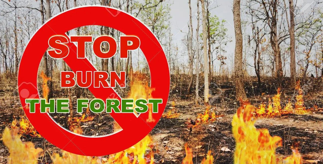 Non aux Feux de Brousse